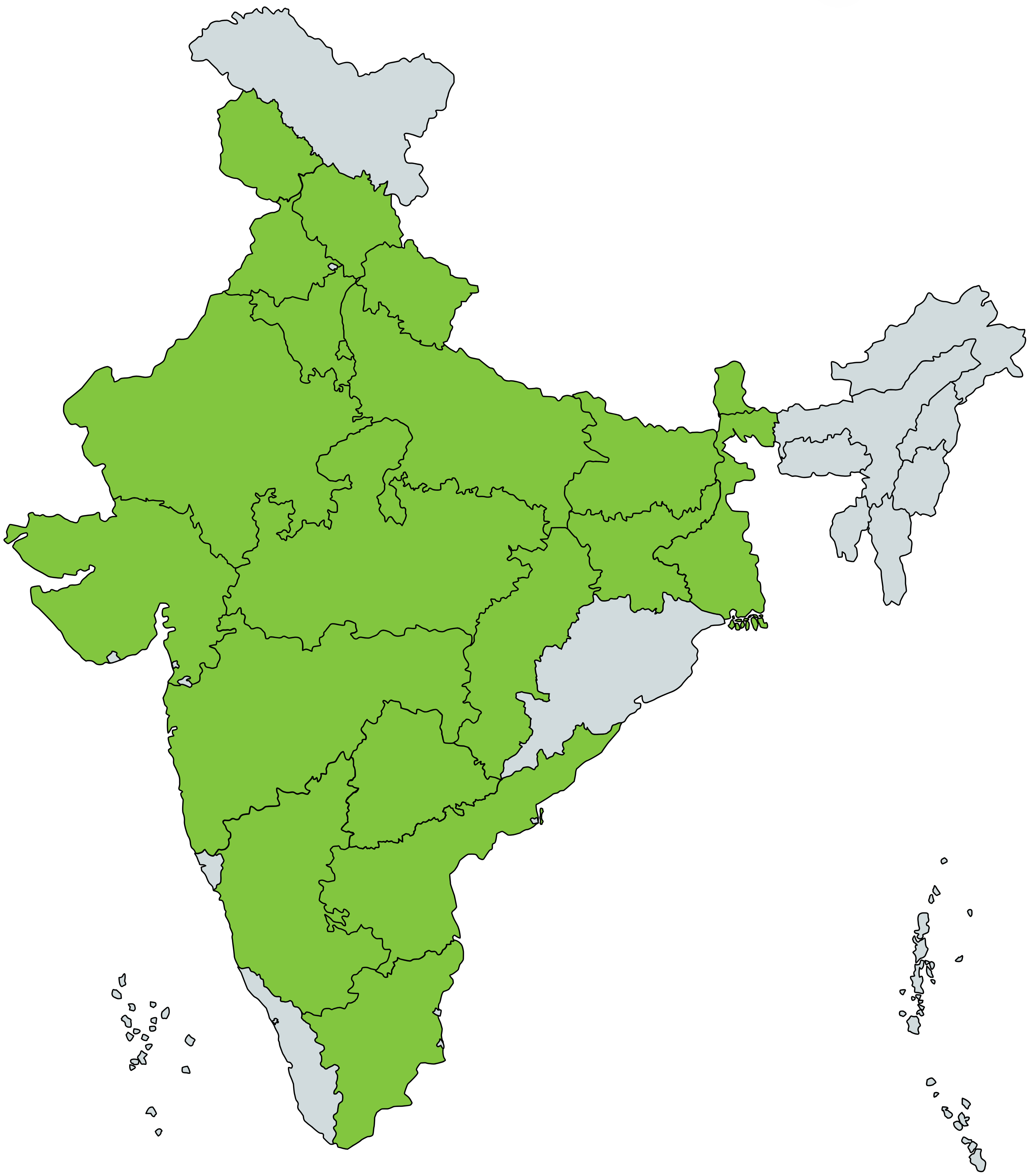 About Us – Roots Foundation